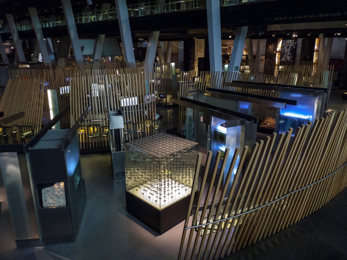 Una visita con niños a CosmoCaixa para disfrutar de la ciencia en familia