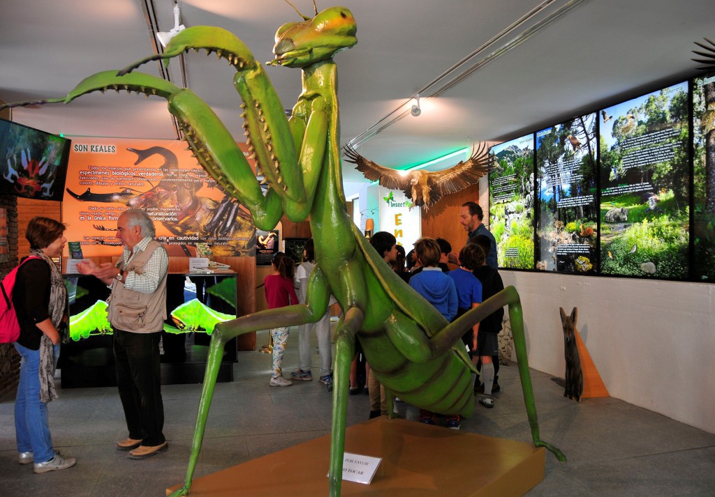 InsectPark museo de insectos único de Europa