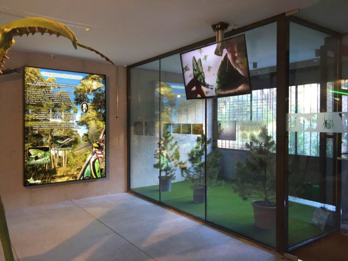 InsectPark museo de insectos único de Europa