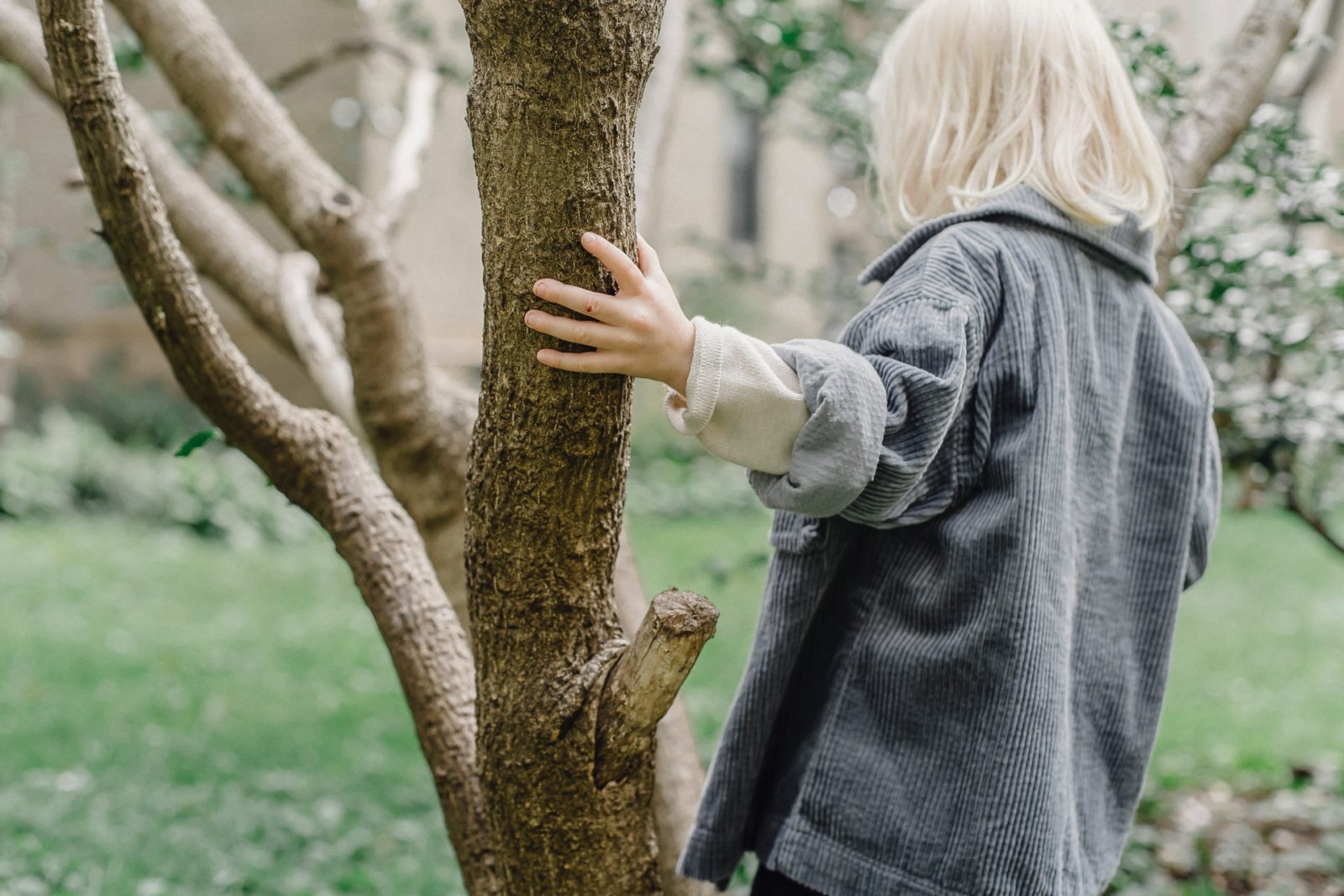 Bullying social: ¿Qué es y cómo se manifiesta?