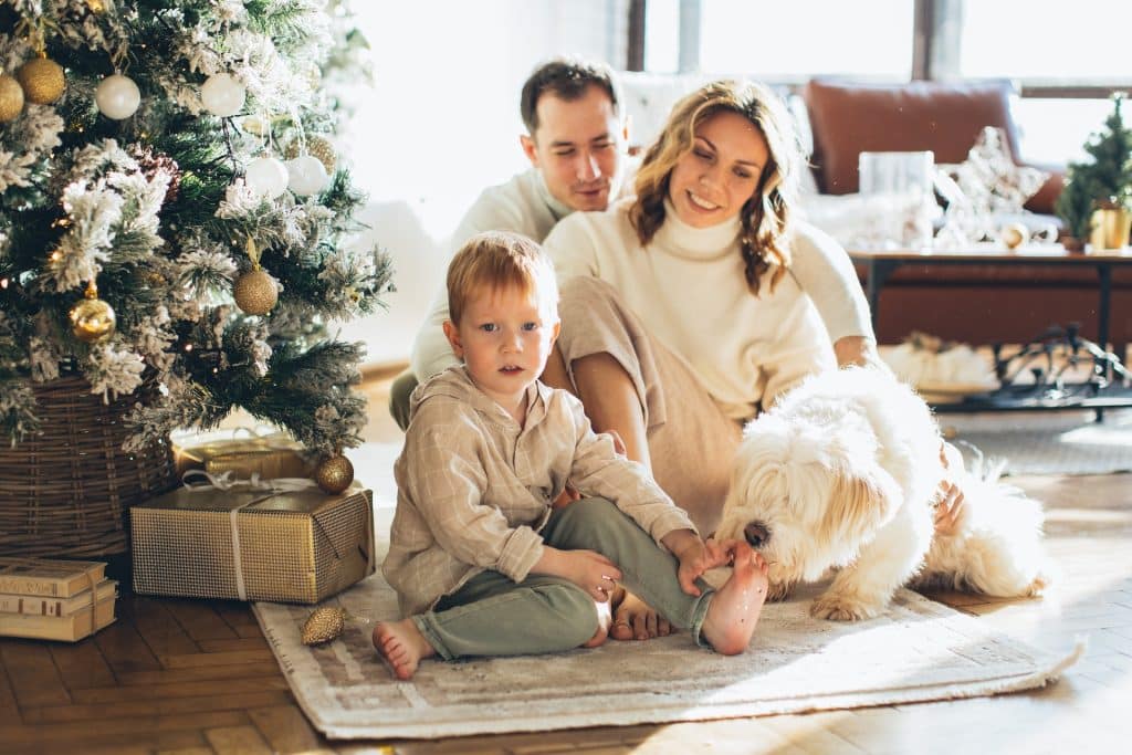 Seis características de las familias unidas en Navidad