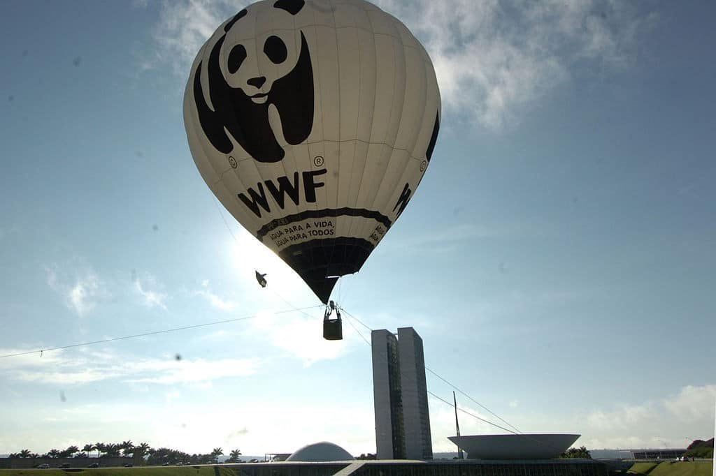 WWF, una de las organizaciones de conservación de la naturaleza más ...