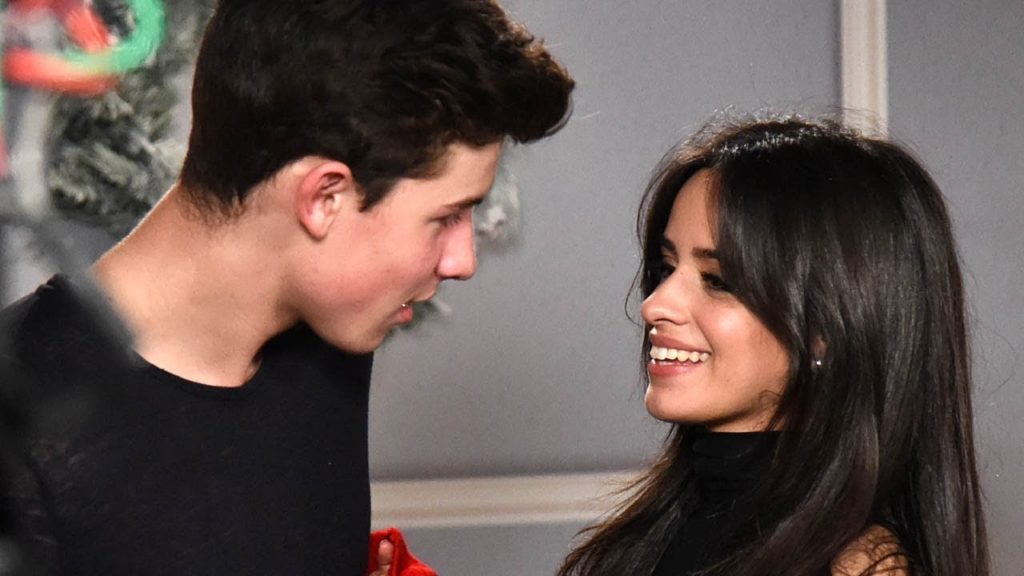 Camila Cabello y Shawn Mendes, ¿la pareja del verano?