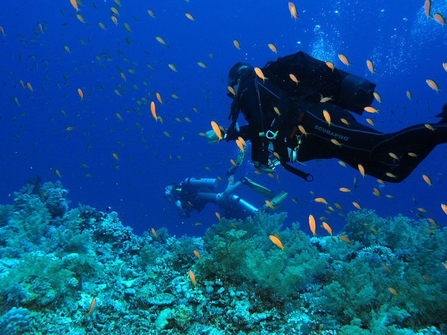 Los mejores lugares para bucear en Estados Unidos