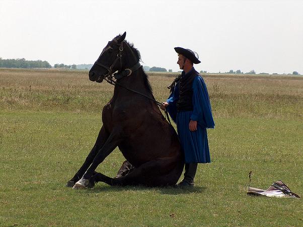 La Gran Llanura Húngara, la Puszta