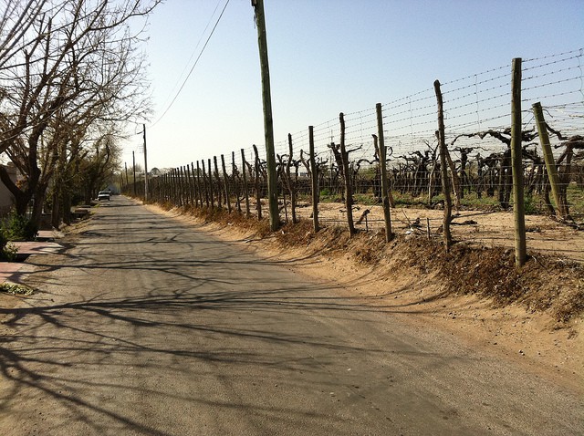 Guaymallén, un paraíso en Mendoza
