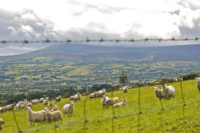 Draperstown, aldea muy musical en el Condado de Derry