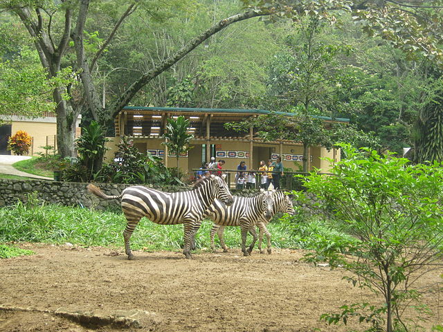 El zoológico de Cali en Colombia