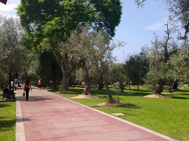 Parque El Olivar en Lima