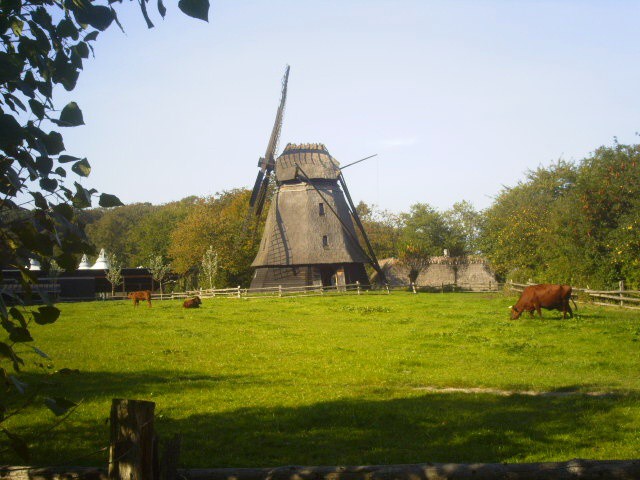 The Funen Village, museo al aire libre en Odense