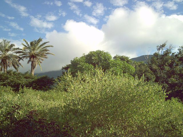Parque Nacional Cerro El Copey