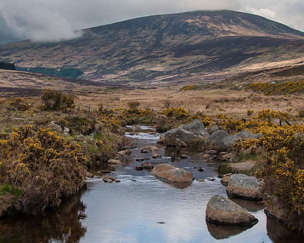 Parque Nacional Montañas de Wicklow