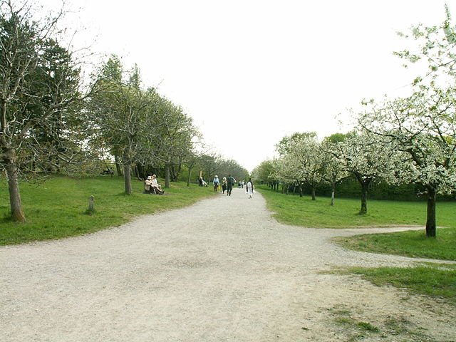 Steinhofgründe, zona natural de Viena