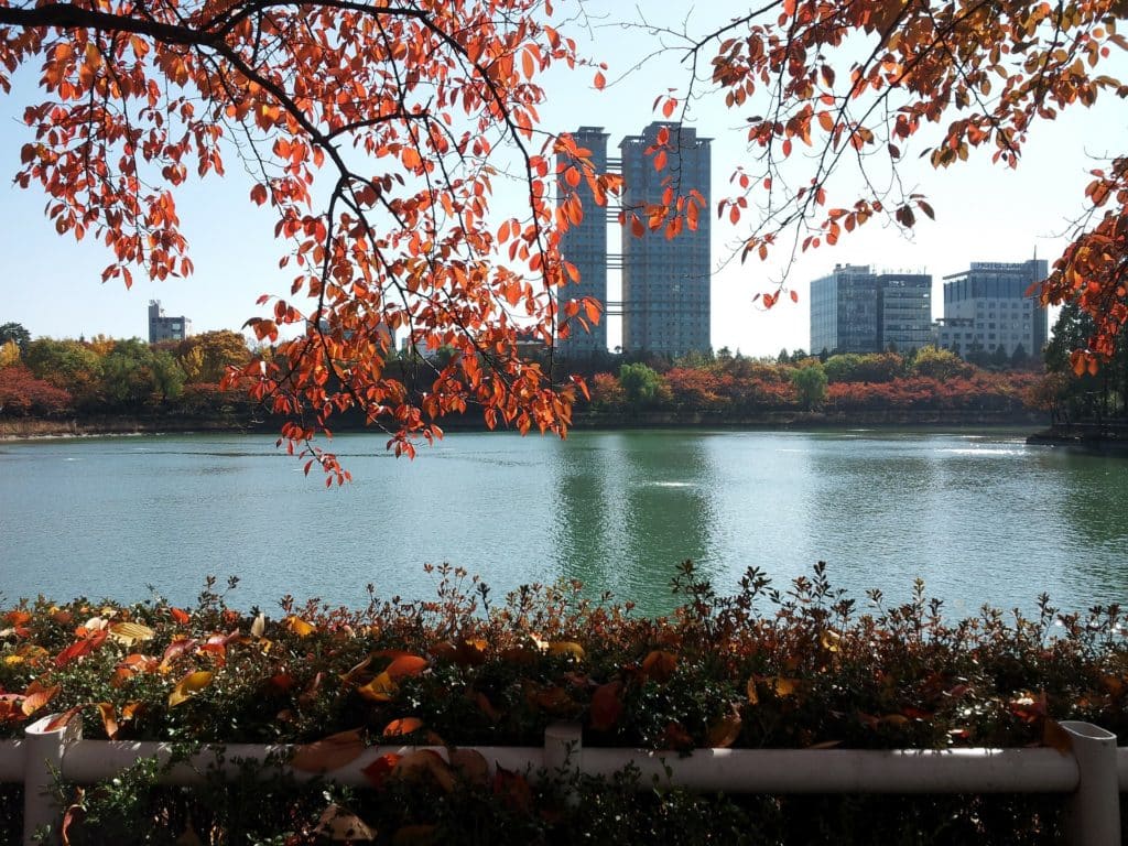 Conoce algunos lugares de Corea del Sur en primavera