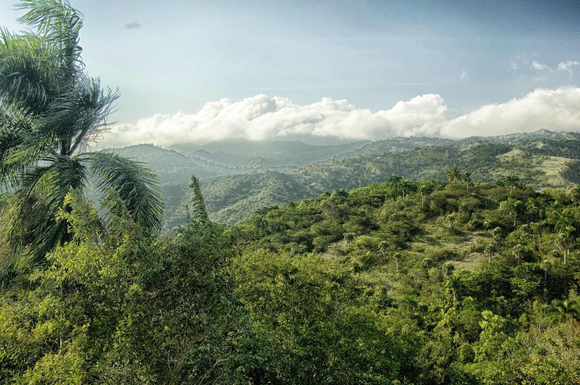 Ecoturismo, una propuesta para conocer República Dominicana