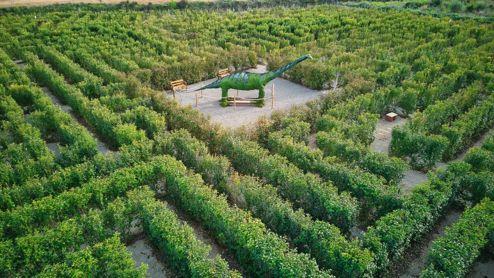 Este es el laberinto vegetal más grande, en Peñíscola